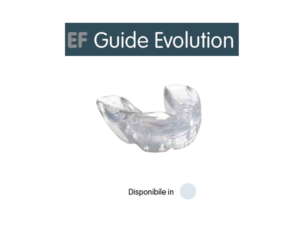 EF Guide Evolution - Dentalsim