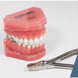 Prodotti Archive - Dentalsim